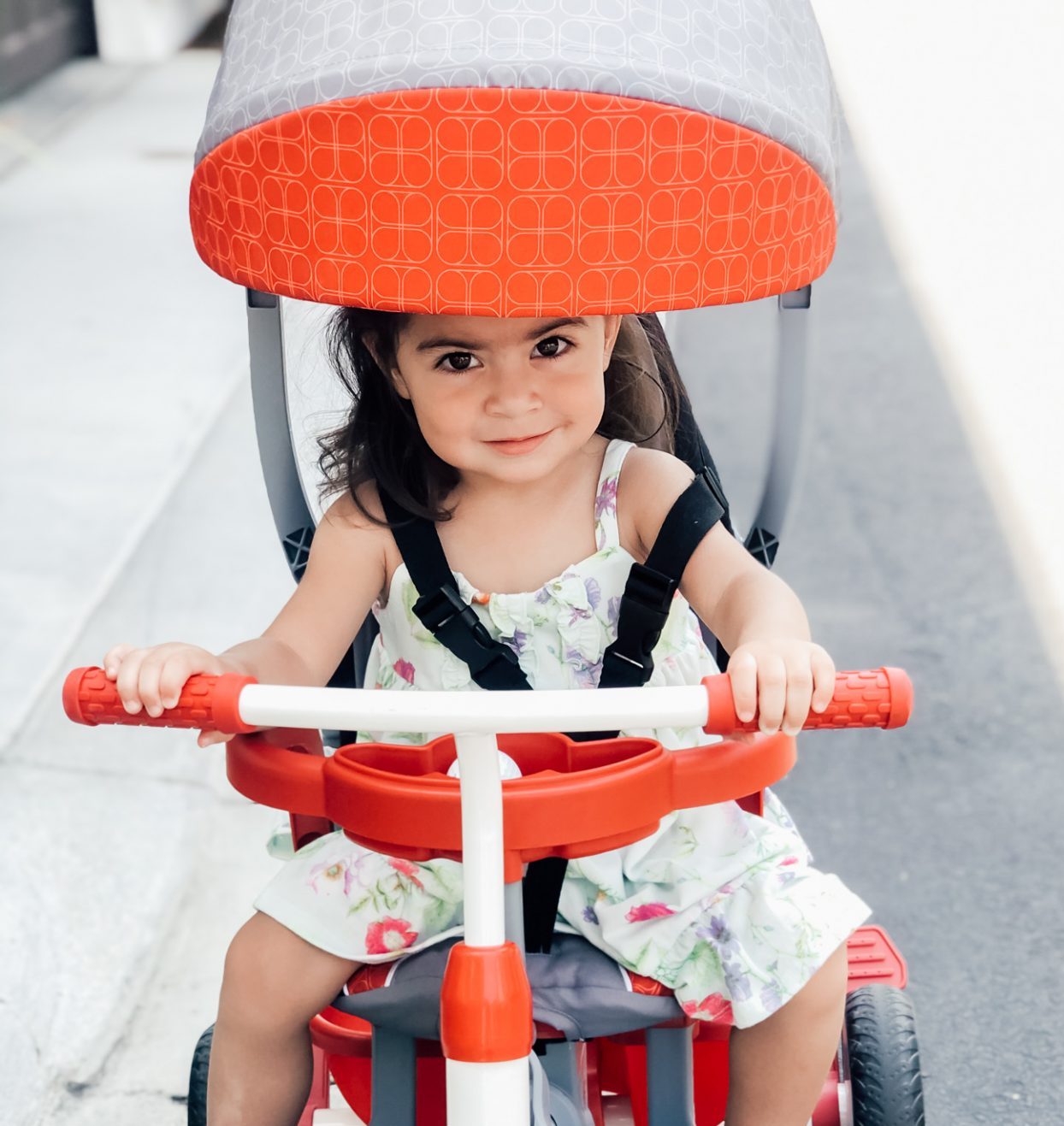 Fun Toddler Trike – Mommy Needs A